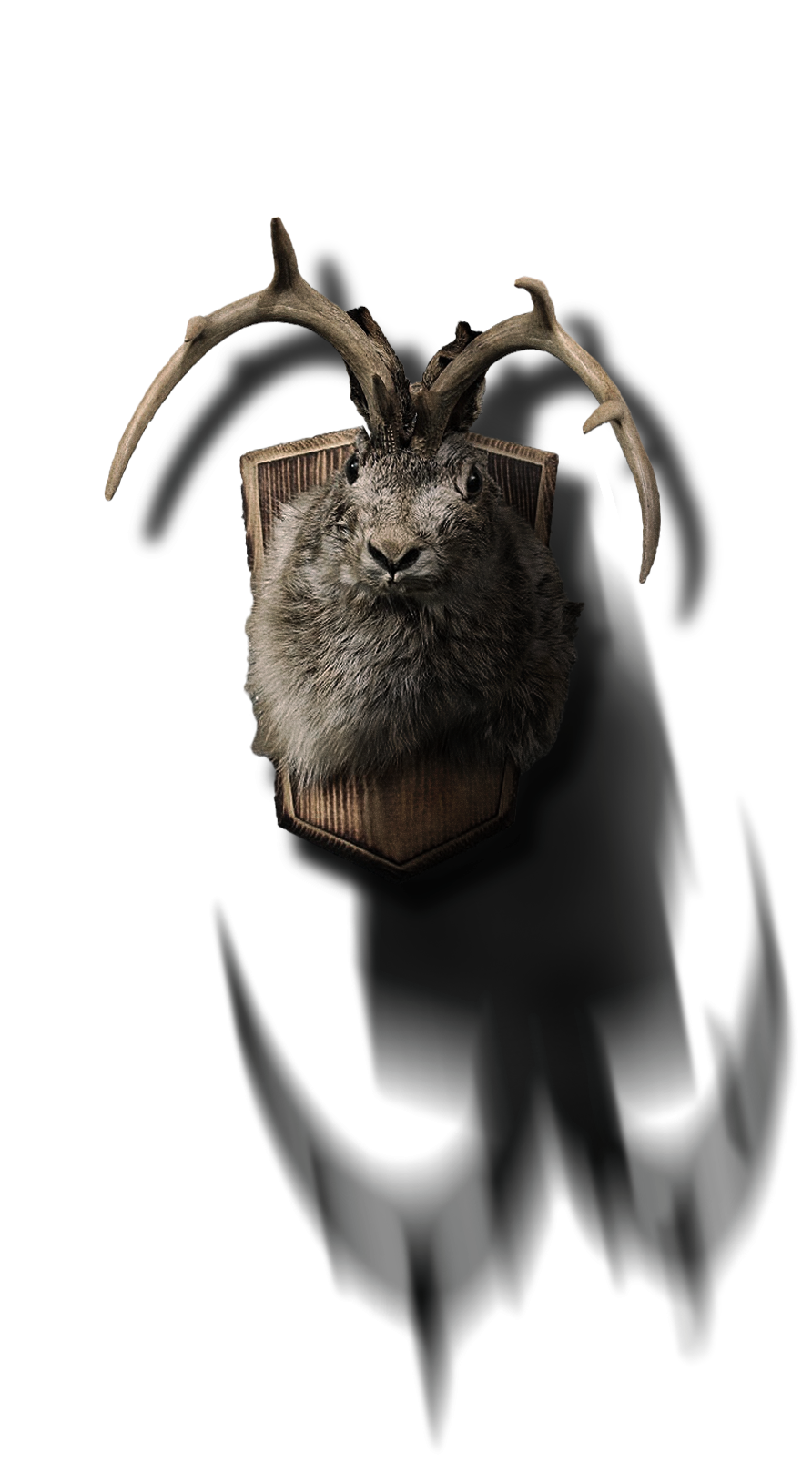 Restaurant, Le Clan - Vieux-Québec